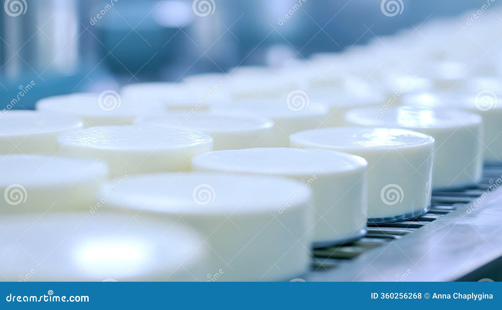 Dairy Pasteurization and Cheese Packaging Process in Dairy Processing ...