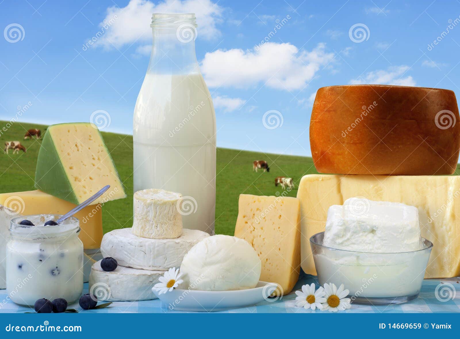 Dairy Products stock image. Image of open, freshness - 14669659