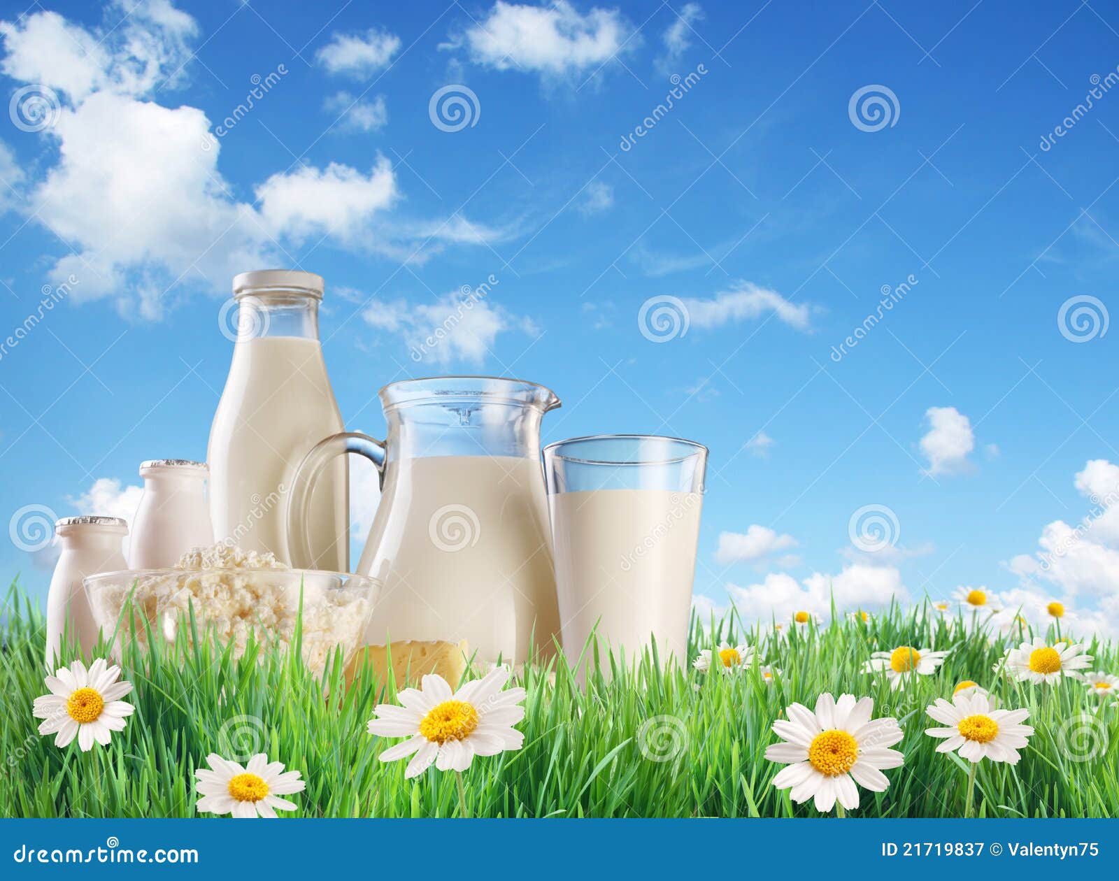 224 Cow Dairy Daisy Stock Photos - Free & Royalty-Free Stock Photos ...