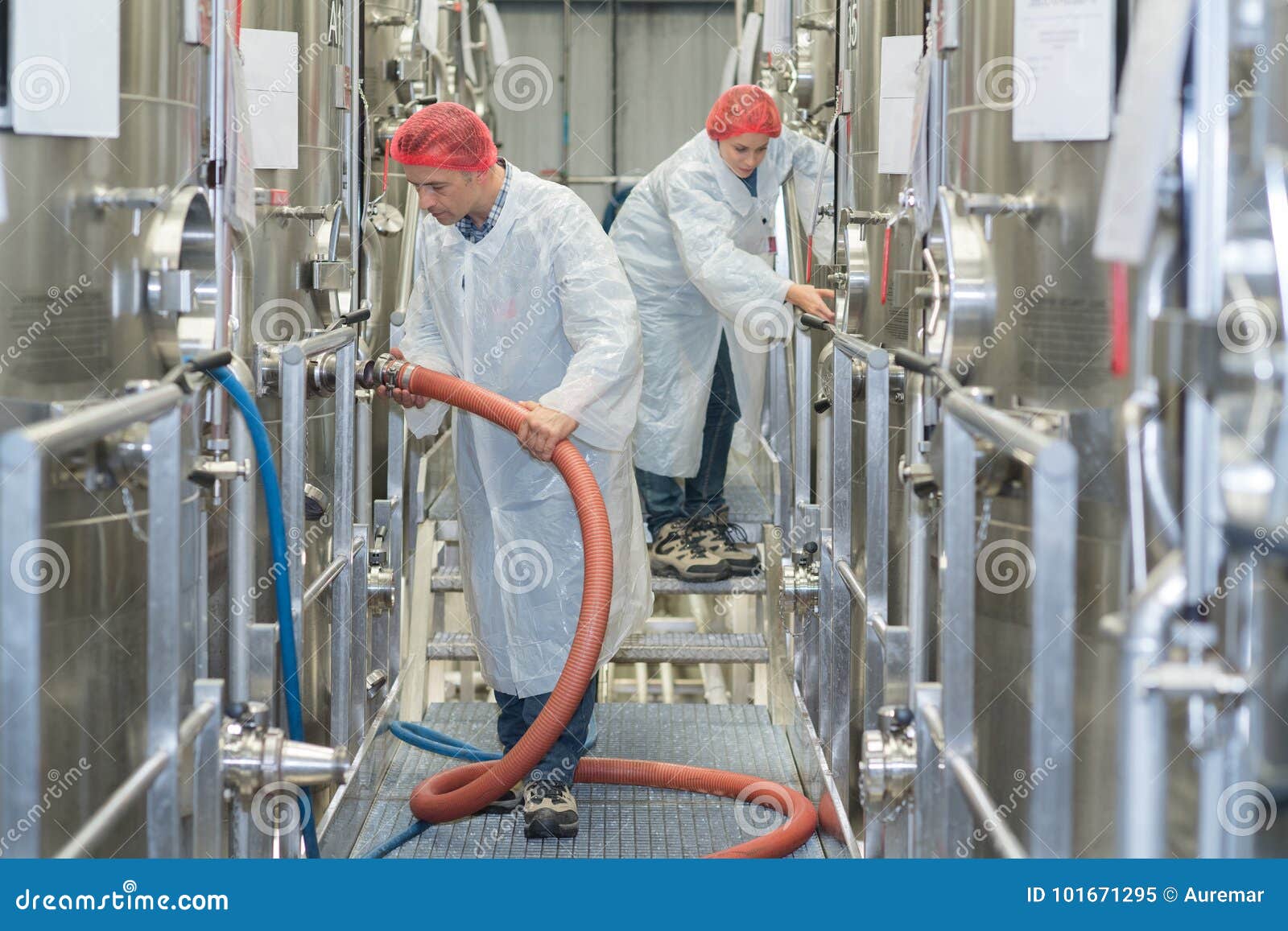 Dairy worker in milk shop stock image. Image of male - 101671295
