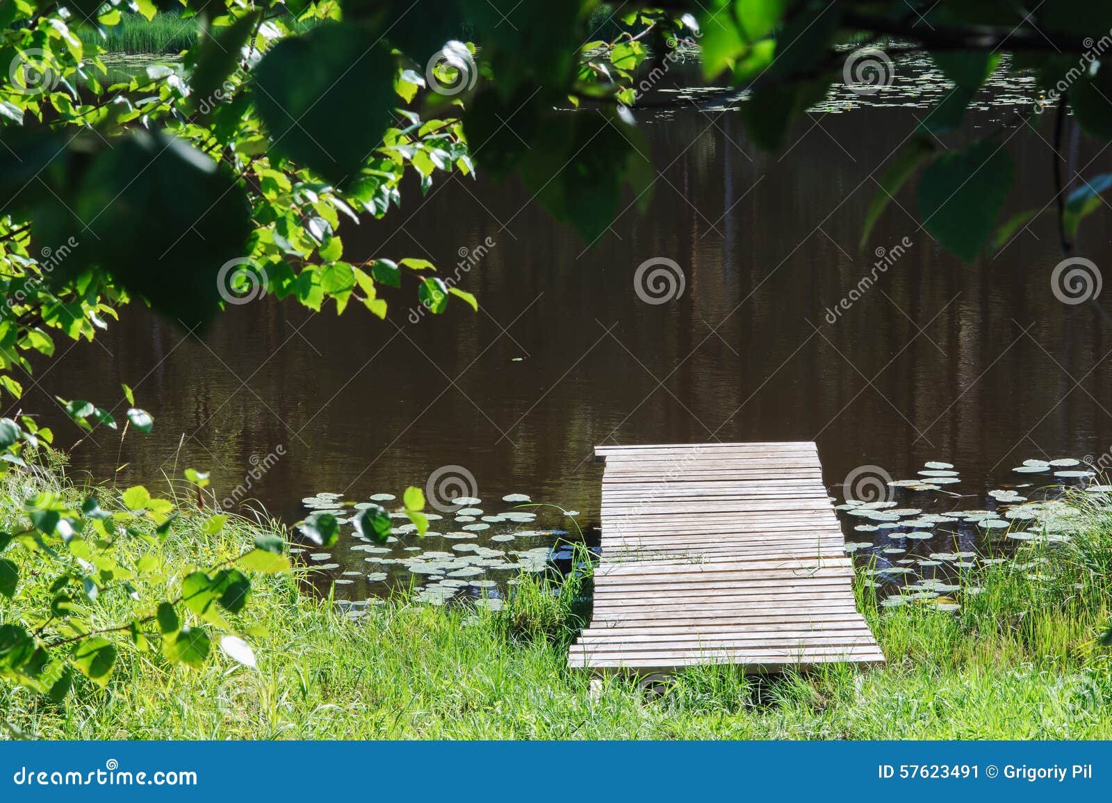 Dais on the lake stock image. Image of birch, scene, view - 57623491