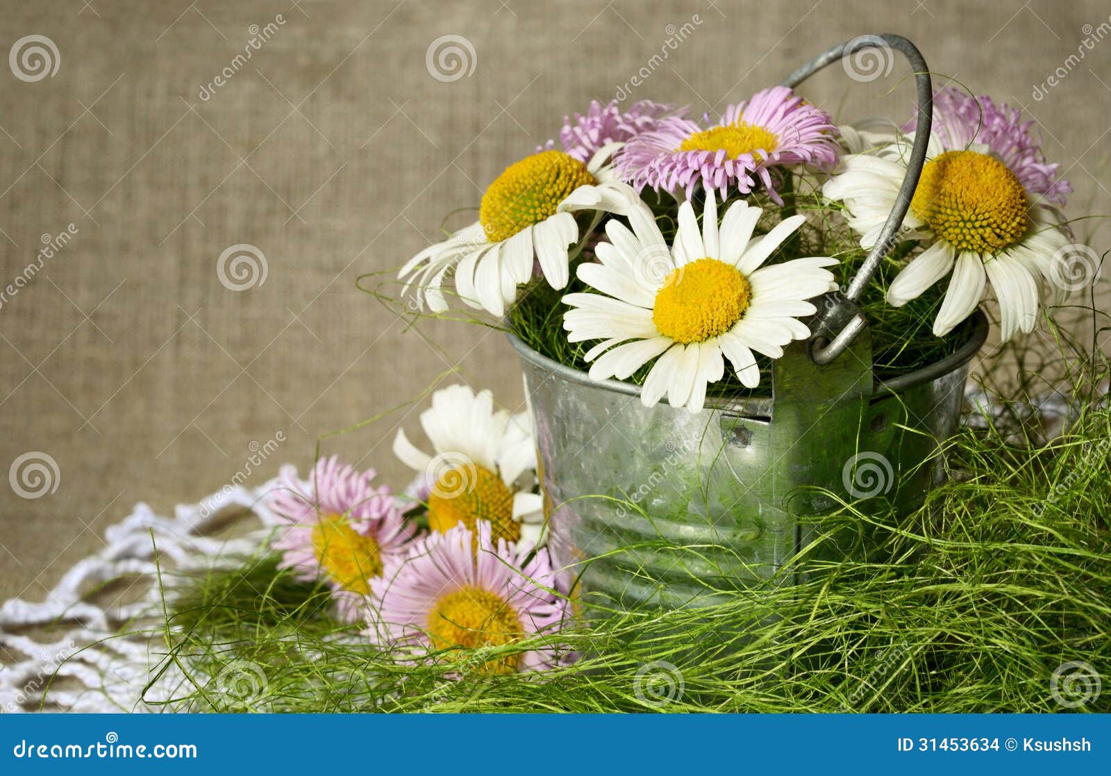 Daisies in a bucket stock photo. Image of bucket, grass - 31453634
