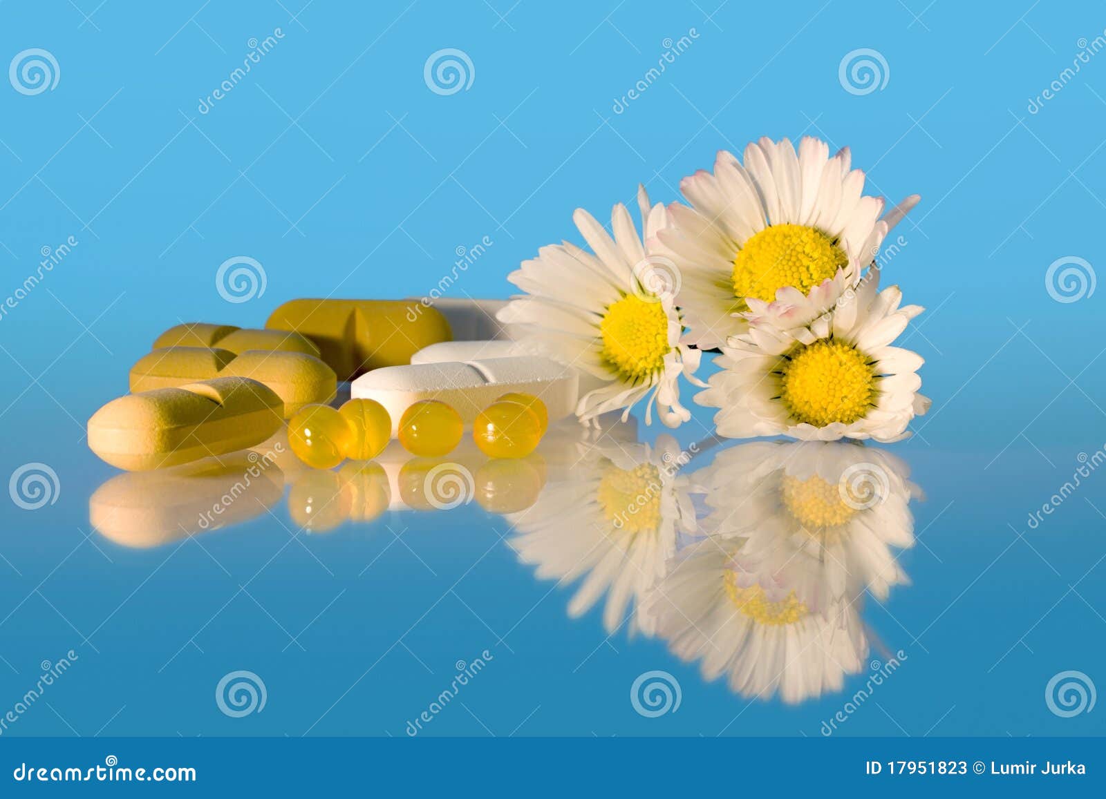 Daisies and drugs stock image. Image of background, flower - 17951823