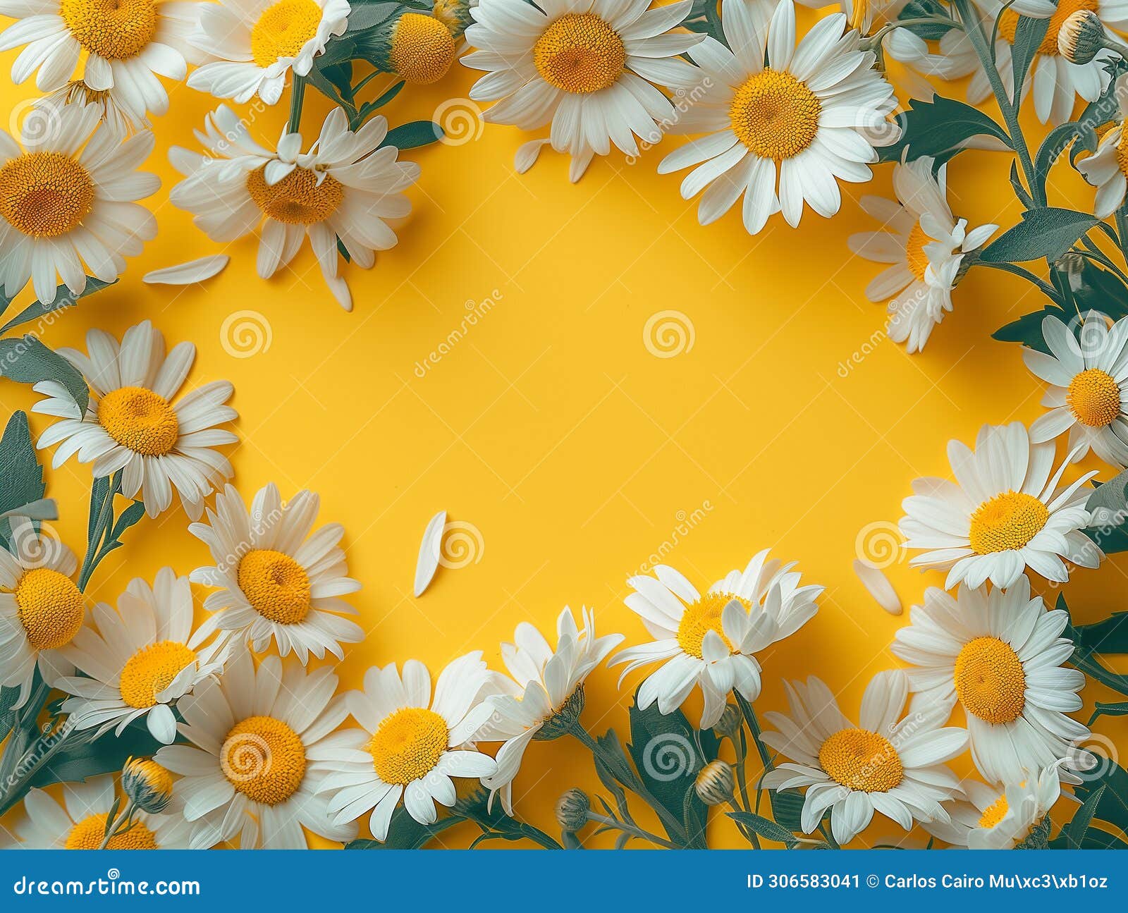 Daisies Frame on Yellow Background Stock Illustration - Illustration of ...