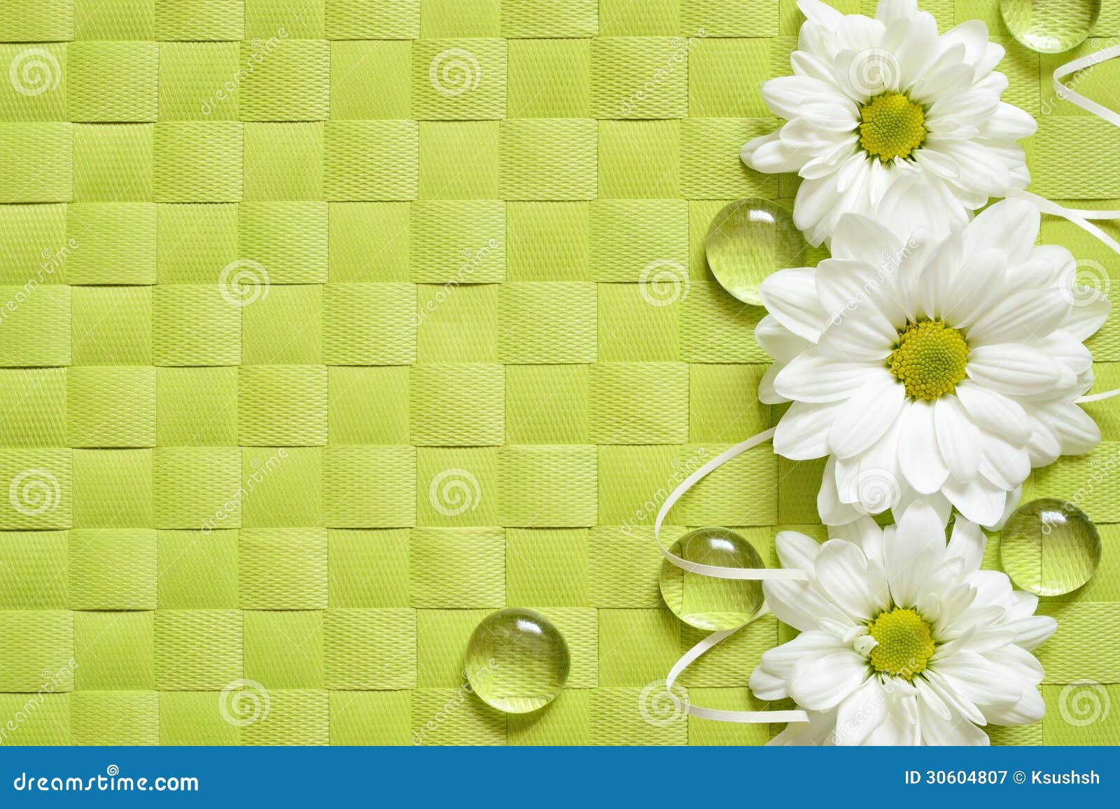 Daisies Line on Green Background Stock Image - Image of blooming, plaid ...