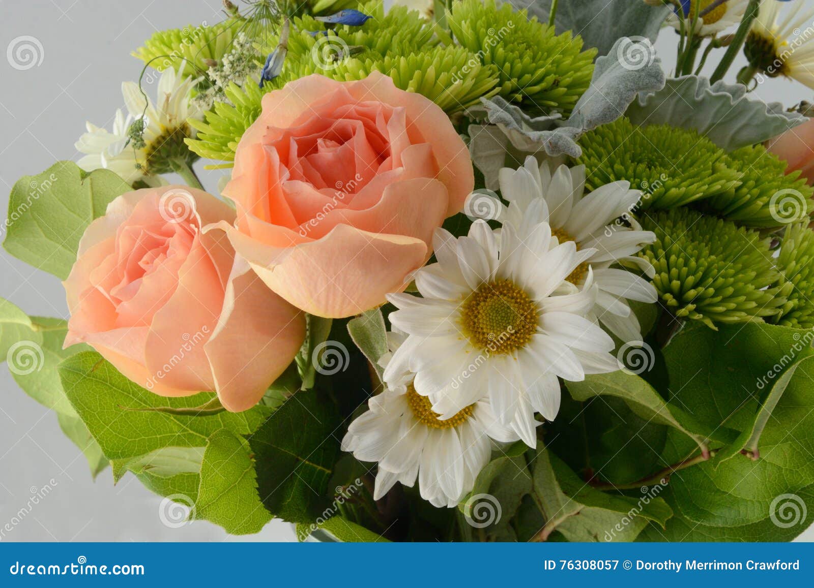 Daisies and roses stock image. Image of arrangement, rose - 76308057