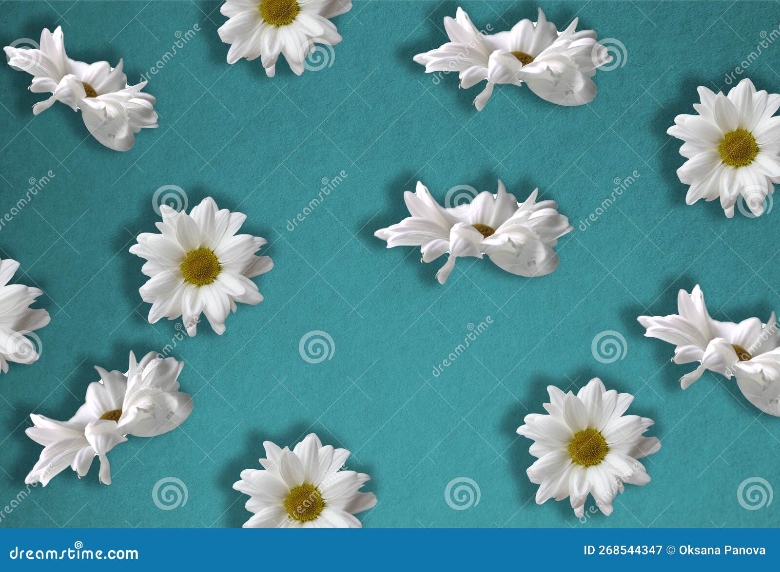 Daisy Background. Blue Summer Background with Daisies Stock Image ...