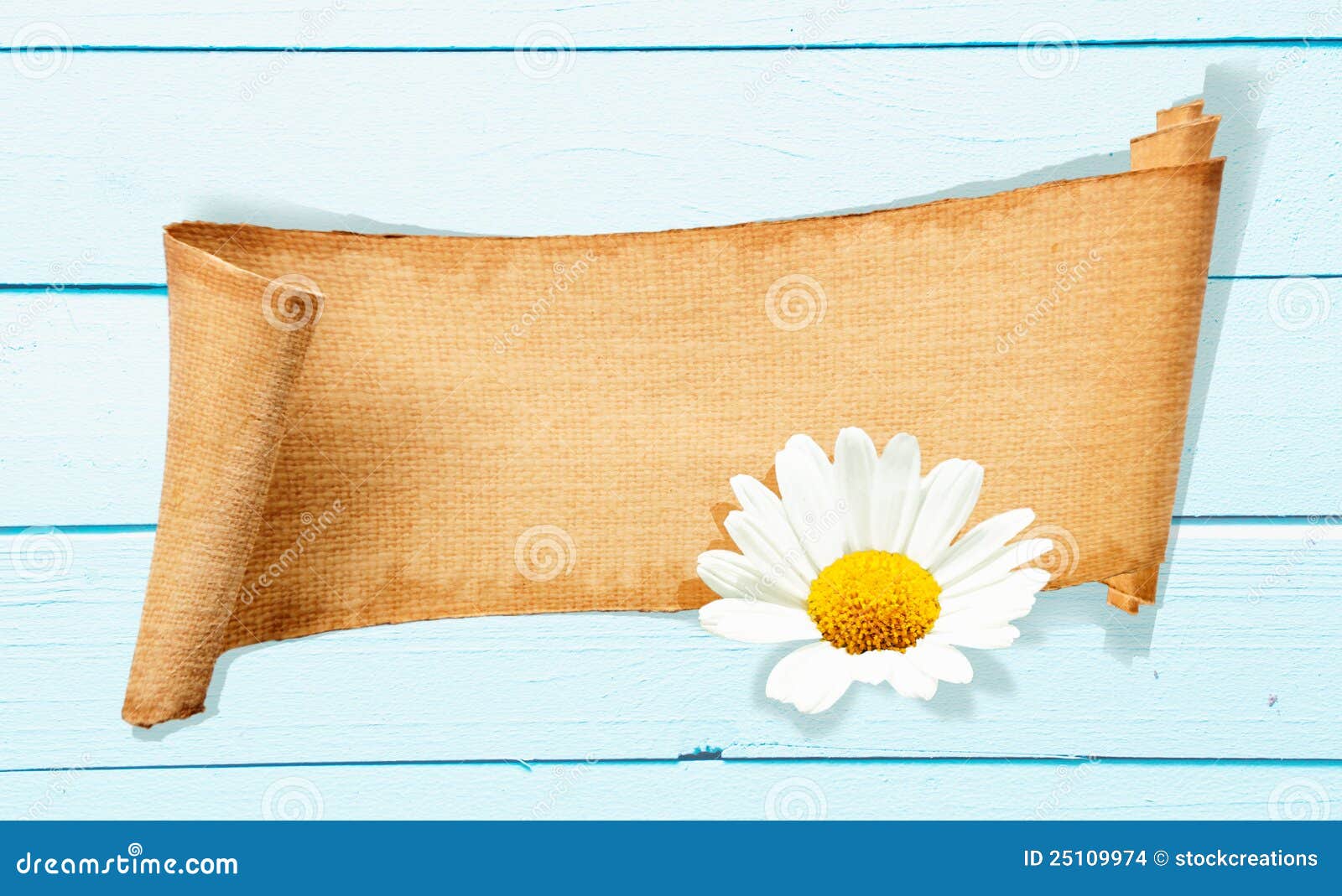 Daisy Banner Memo Photos - Free & Royalty-Free Stock Photos from Dreamstime