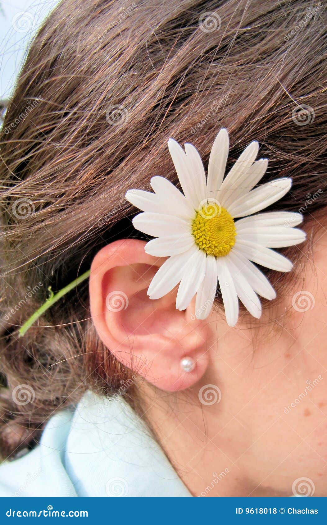 Daisy behind ear stock photo. Image of flora, flower, female - 9618018