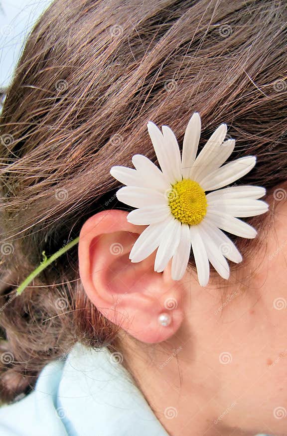 Daisy behind ear stock photo. Image of flora, flower, female - 9618018