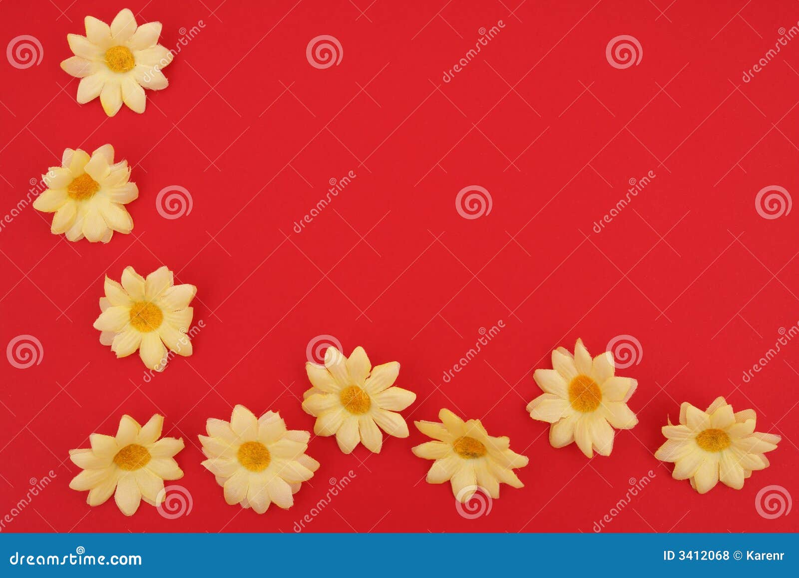 Daisy Border Stock Photography | CartoonDealer.com #10014782