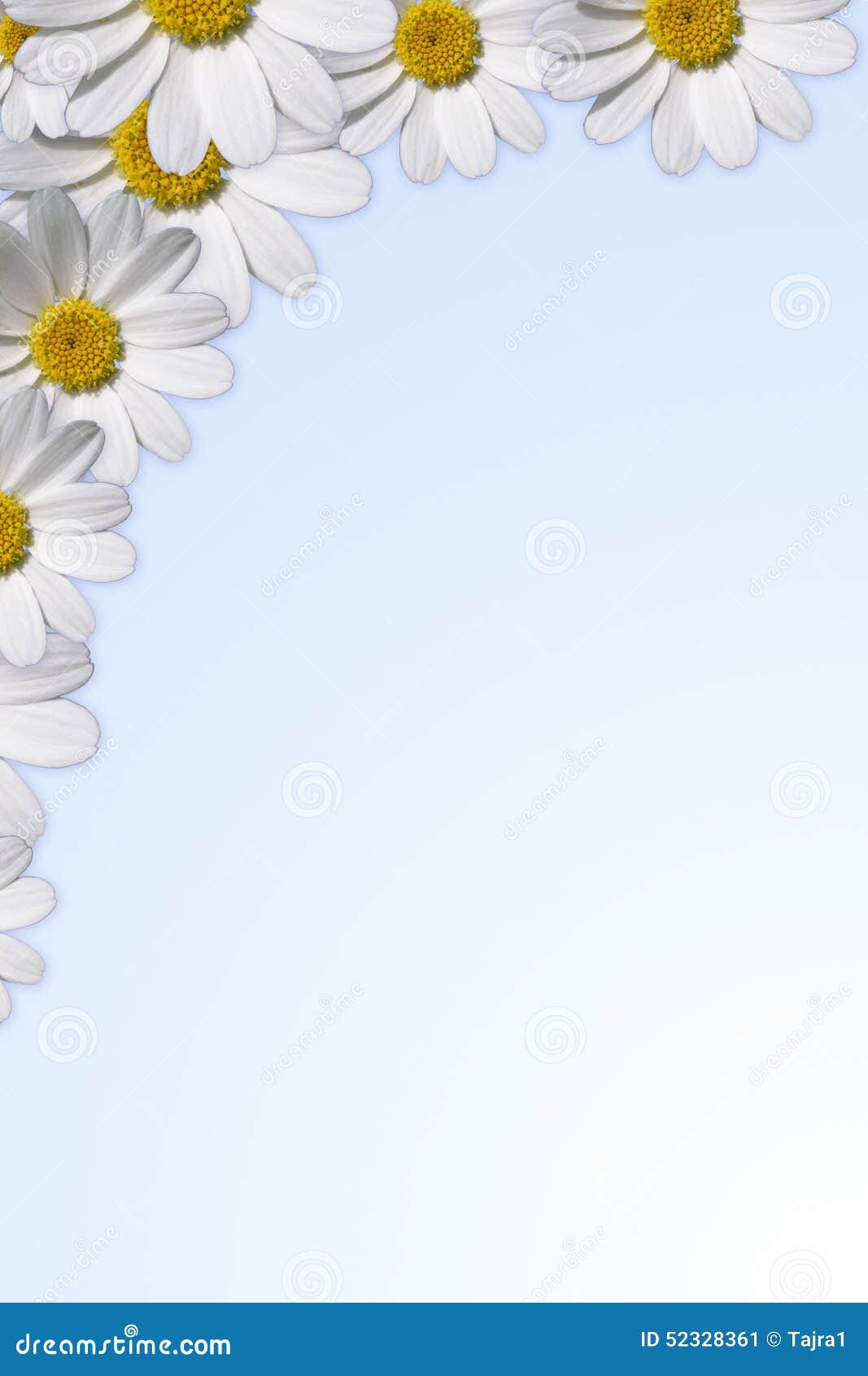 Daisy border stock illustration. Illustration of purity - 52328361