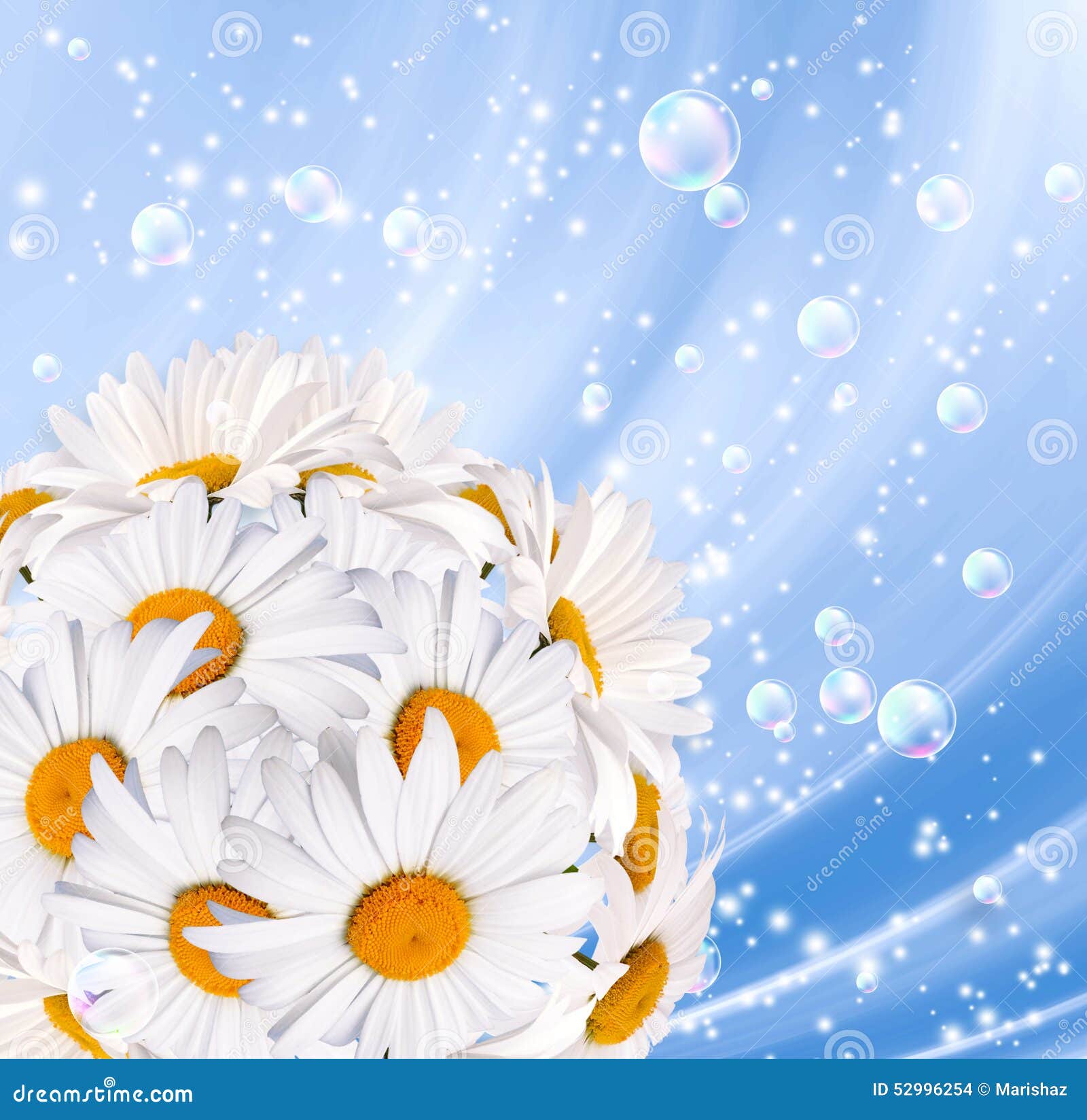 Daisy and bubbles stock illustration. Illustration of blue - 52996254