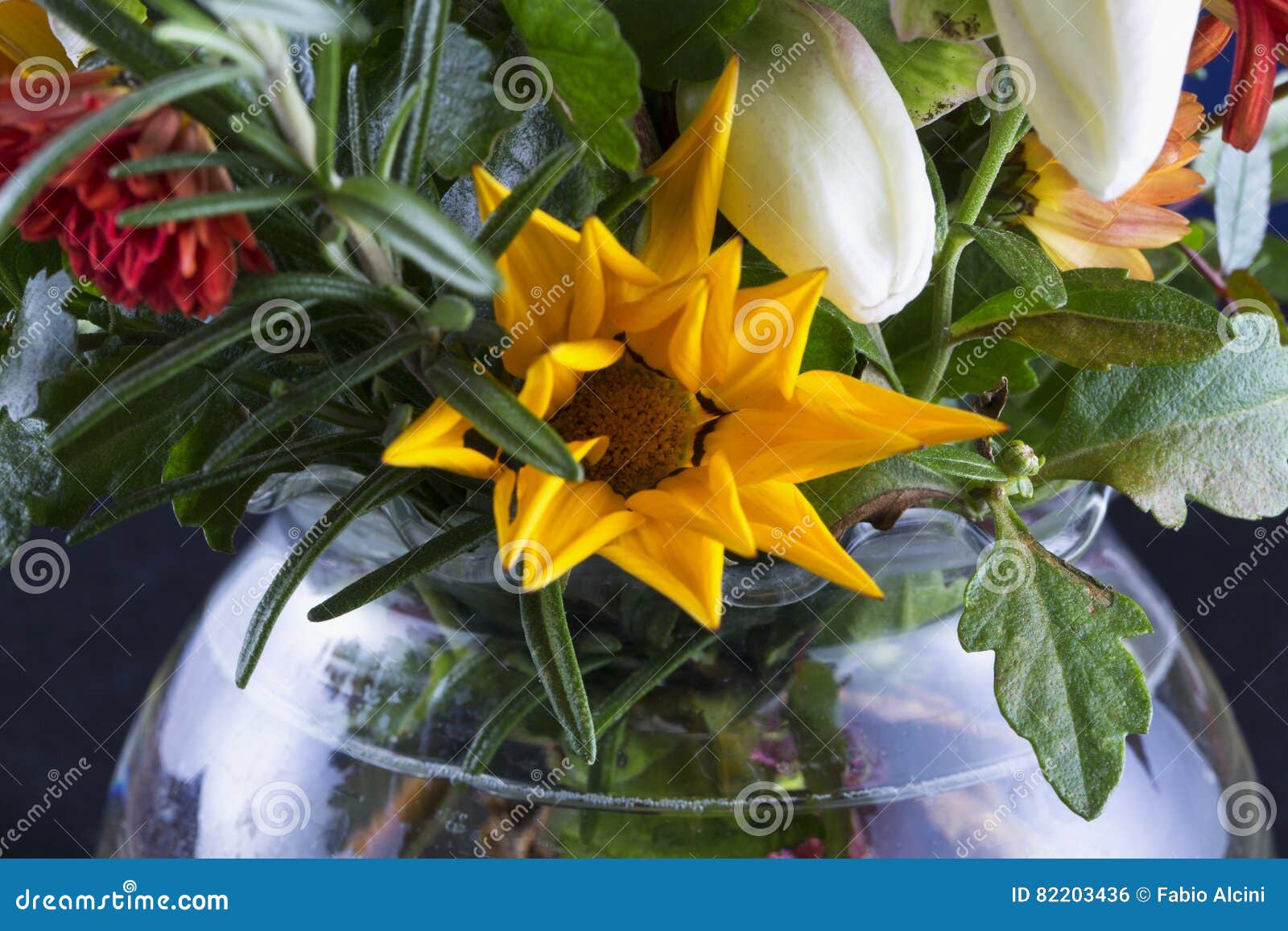 Daisy in a bunch stock photo. Image of flora, wild, flower - 82203436