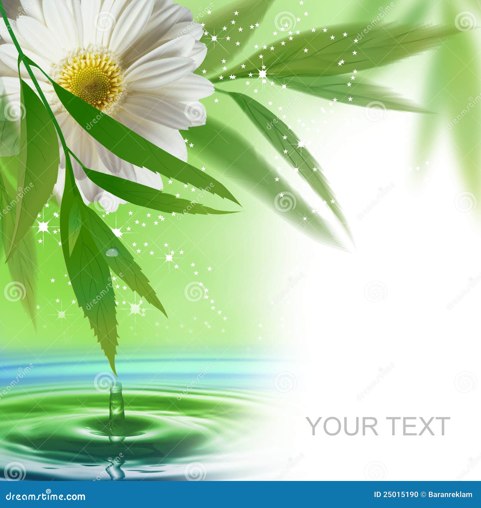 Daisy card stock illustration. Illustration of leaf, plant - 25015190