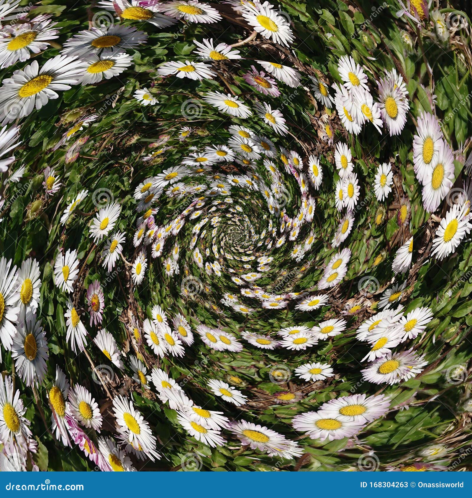 Daisy Chain Flowers Abstract Background Stock Afbeelding - Image of ...