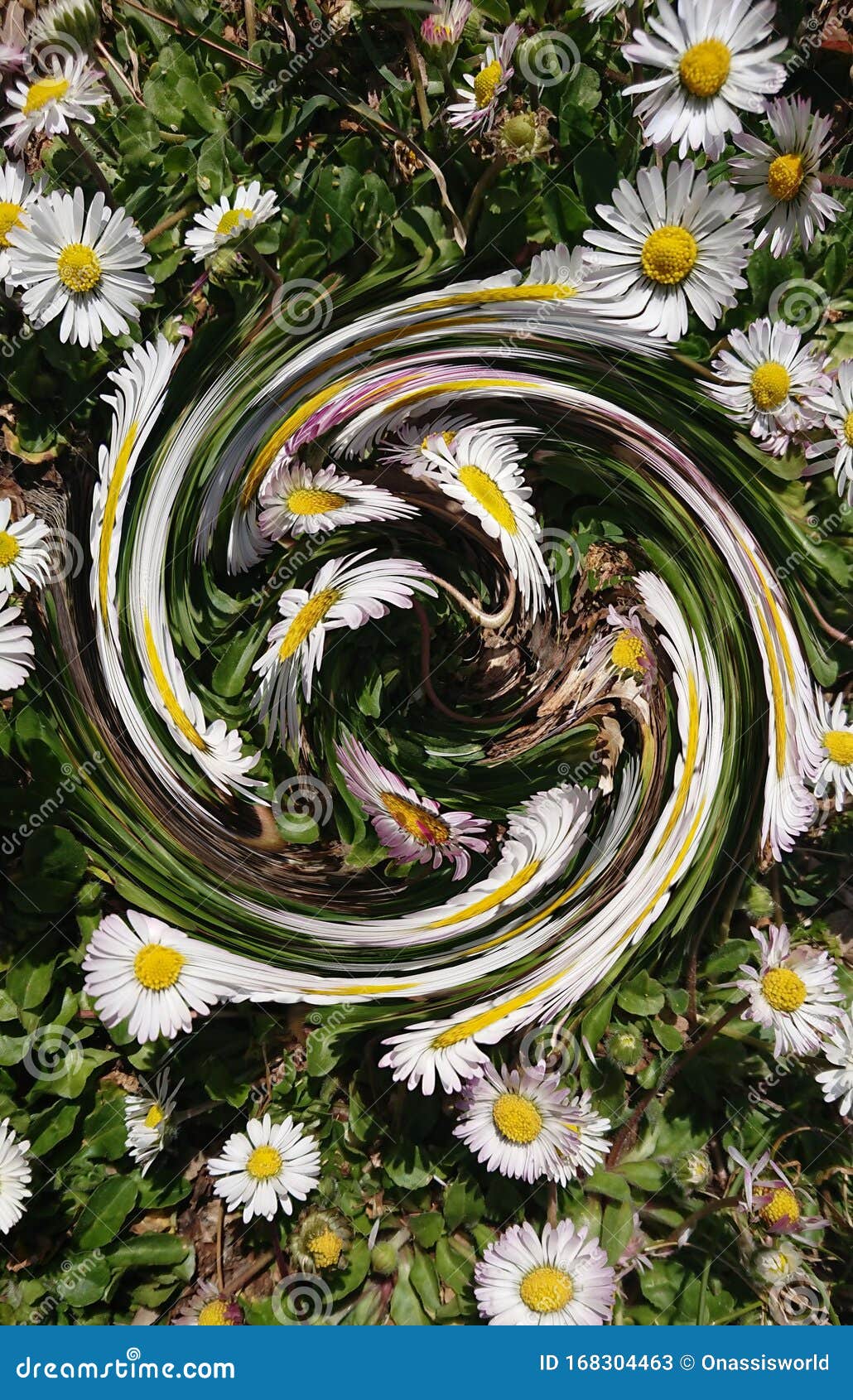 Daisy Chain Flowers Abstract Background Stock Afbeelding - Image of ...