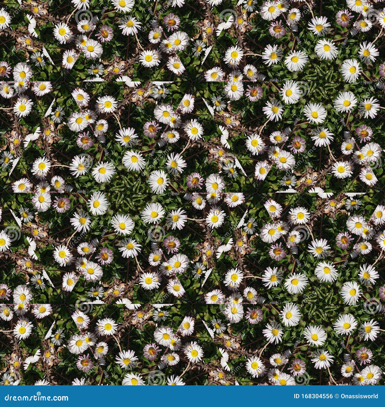 Daisy Chain Flowers Abstract Background Stock Foto - Image of rots ...