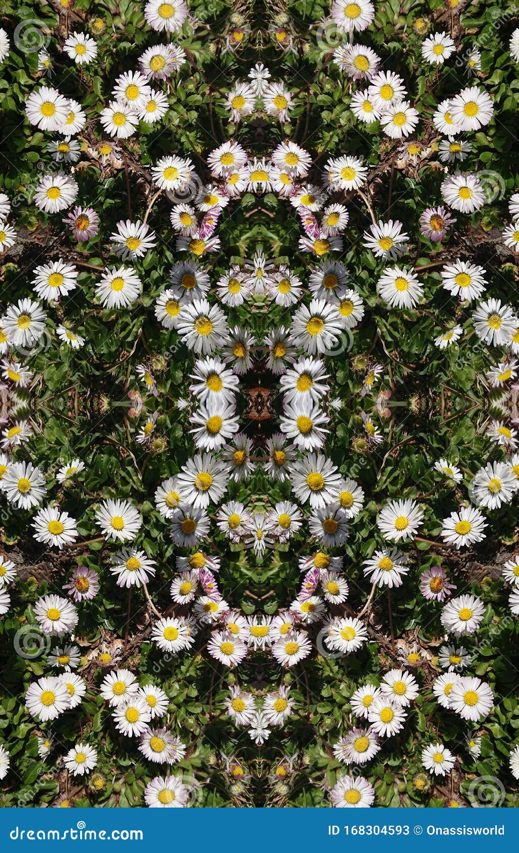 Daisy Chain Flowers Abstract Background Stock Afbeelding - Image of ...