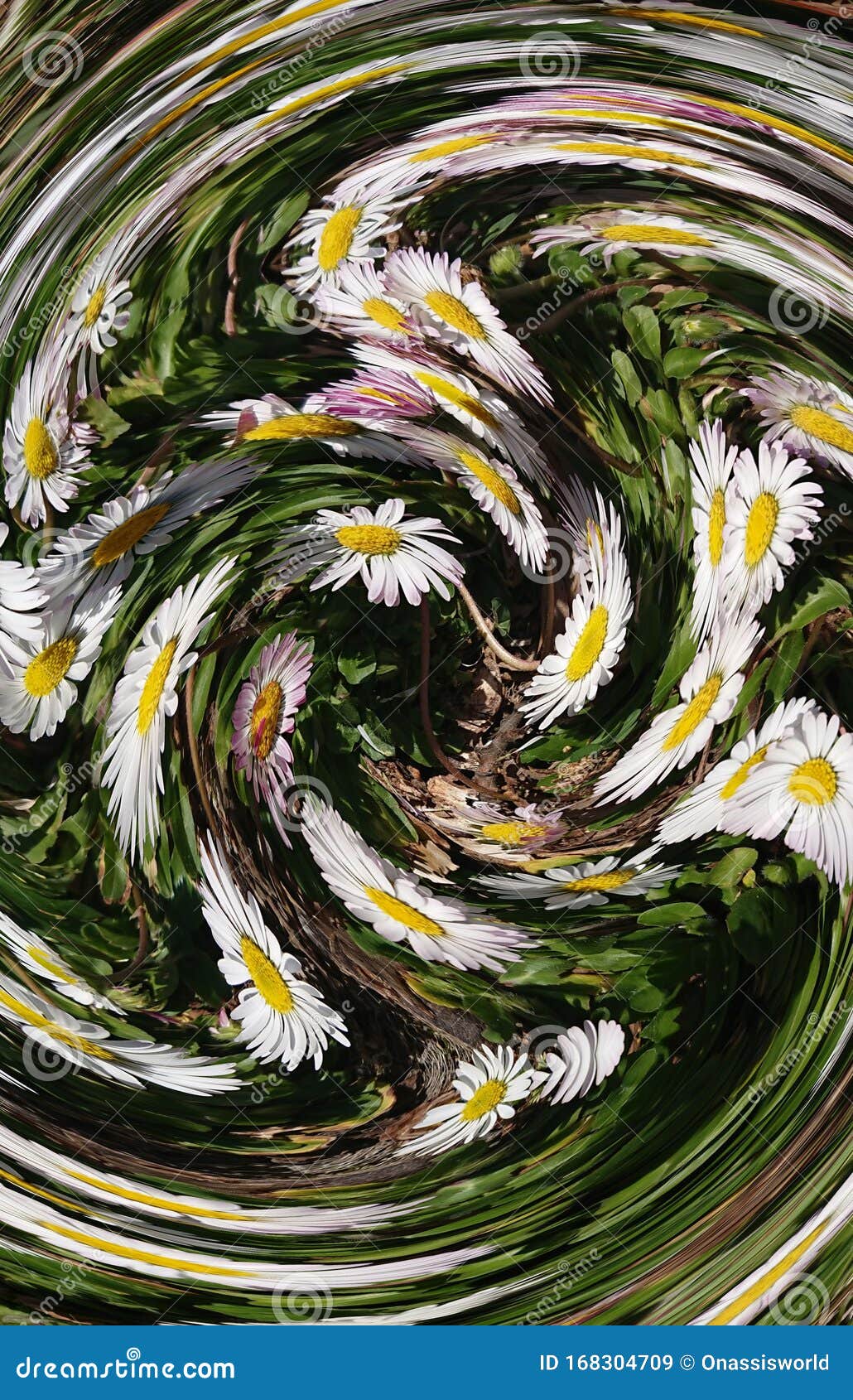 Daisy Chain Flowers Abstract Background Stock Afbeelding - Image of ...