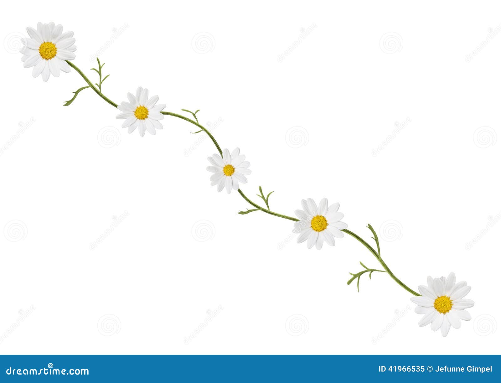 Daisy Decoration stock image. Image of design, blooming - 41966535