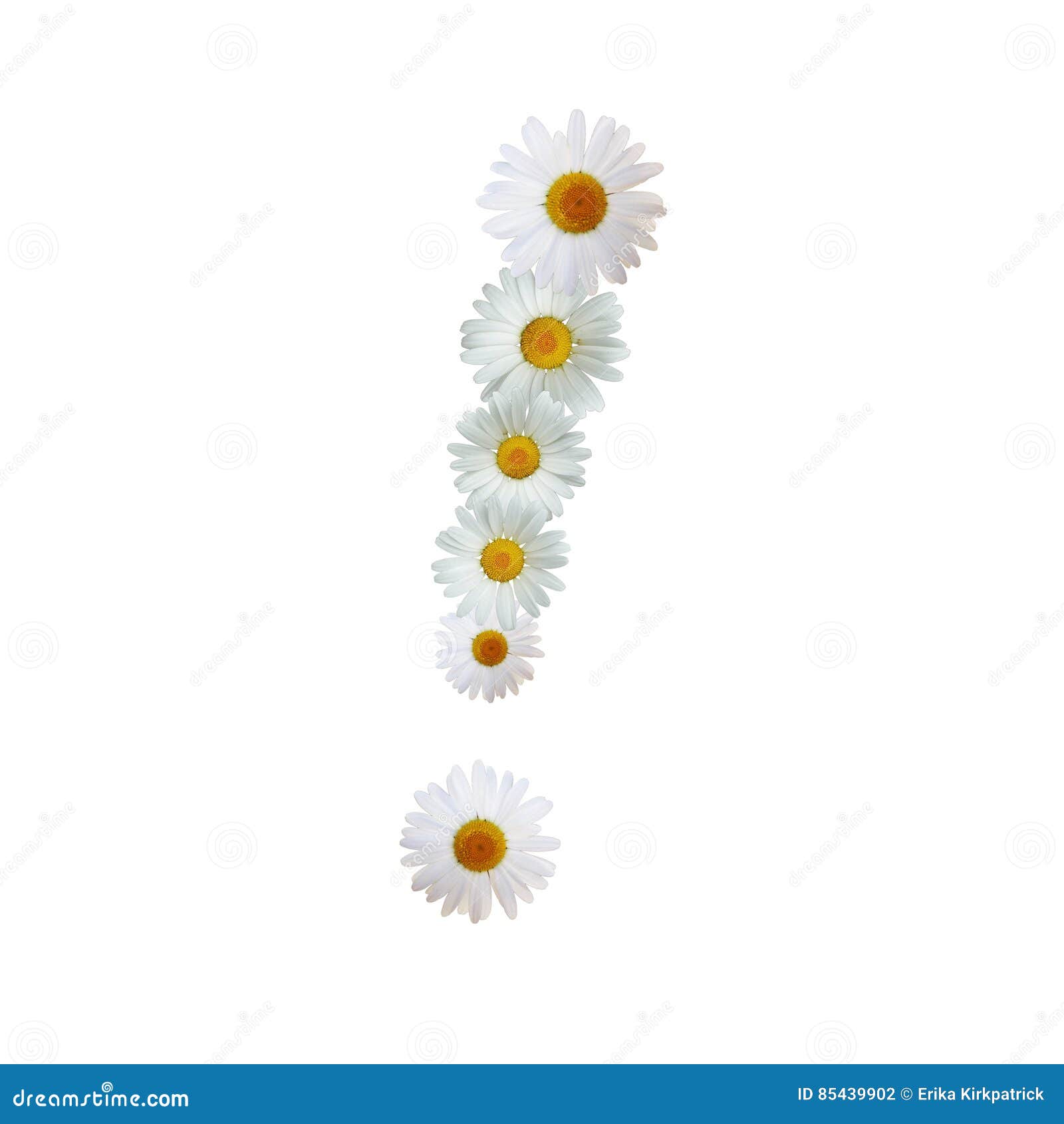 Daisy Exclamation Mark ilustração stock. Ilustração de bonito - 85439902