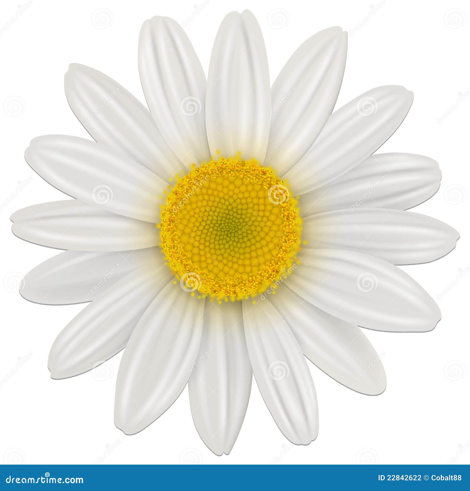 Daisy flower stock vector. Illustration of element, vector - 22842622
