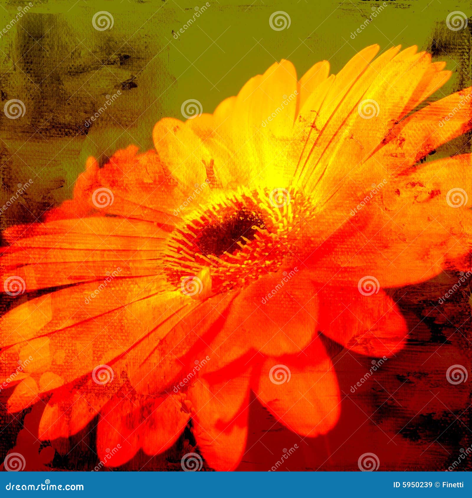 1,101 Ripped Flower Stock Photos - Free & Royalty-Free Stock Photos ...