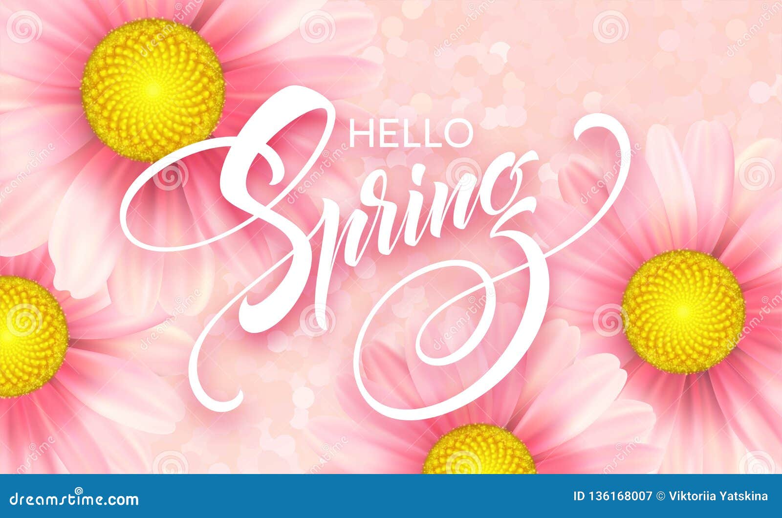 Daisy Flower Background and Hello Spring Lettering. Vector Illustration ...