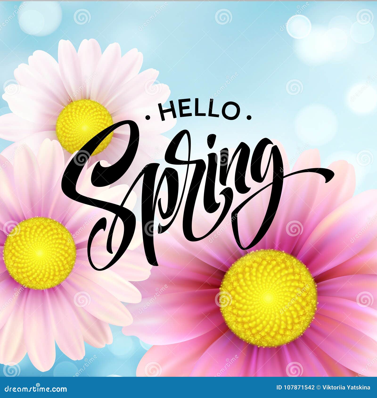 Daisy Flower Background and Hello Spring Lettering. Vector Illustration ...