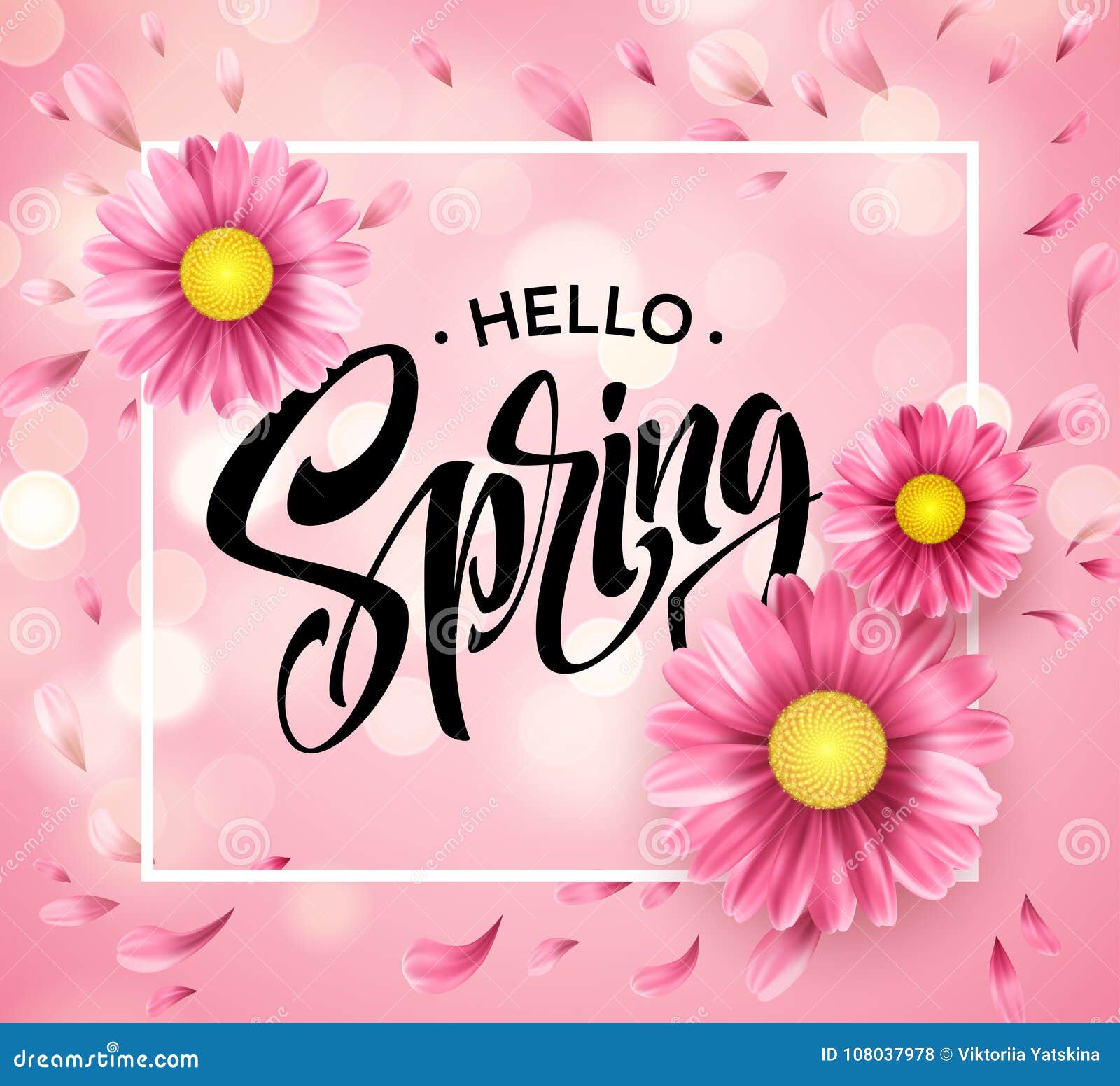 Daisy Flower Background and Hello Spring Lettering. Vector Illustration ...