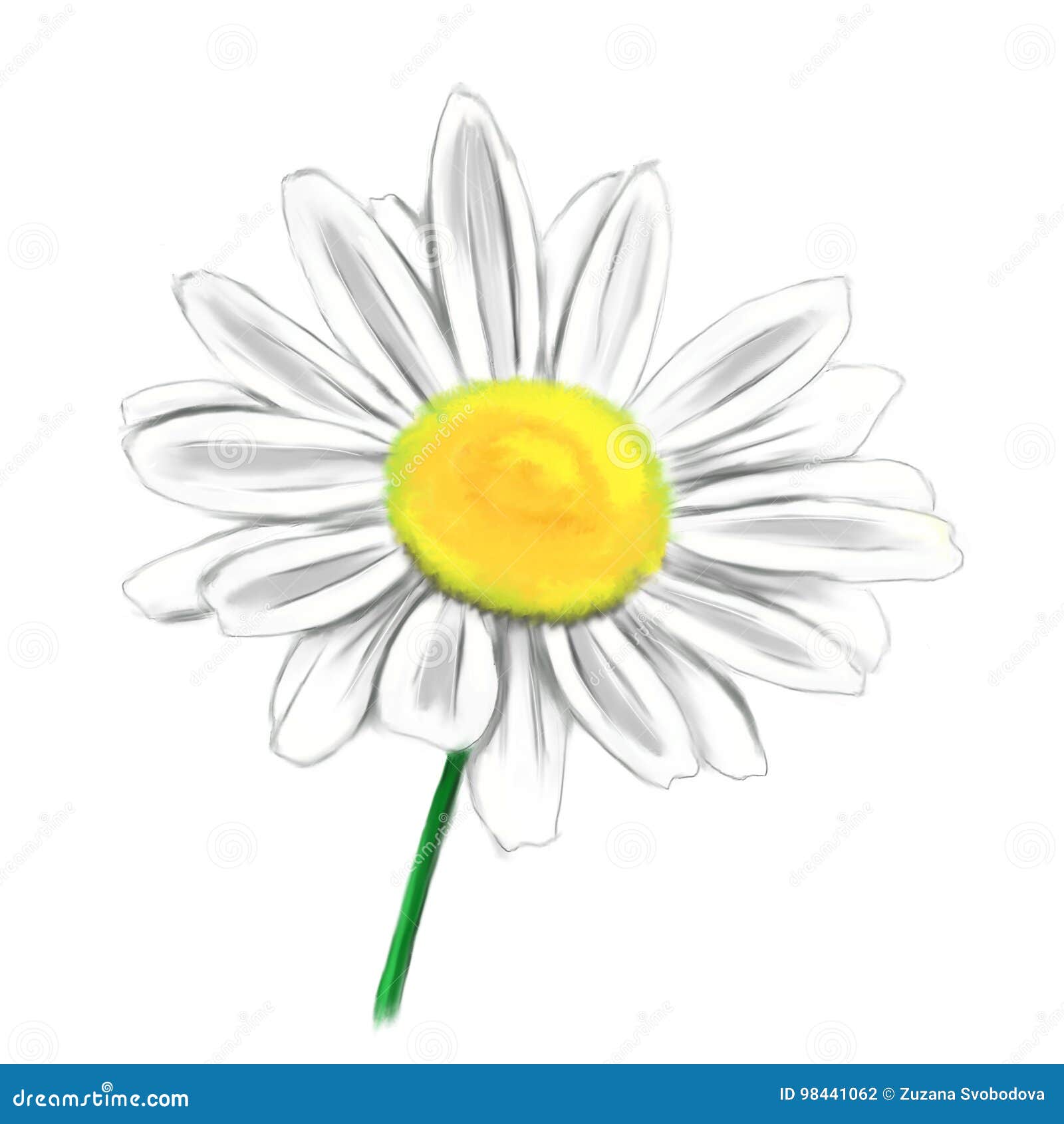 Daisy flower illustration stock illustration. Illustration of ears ...