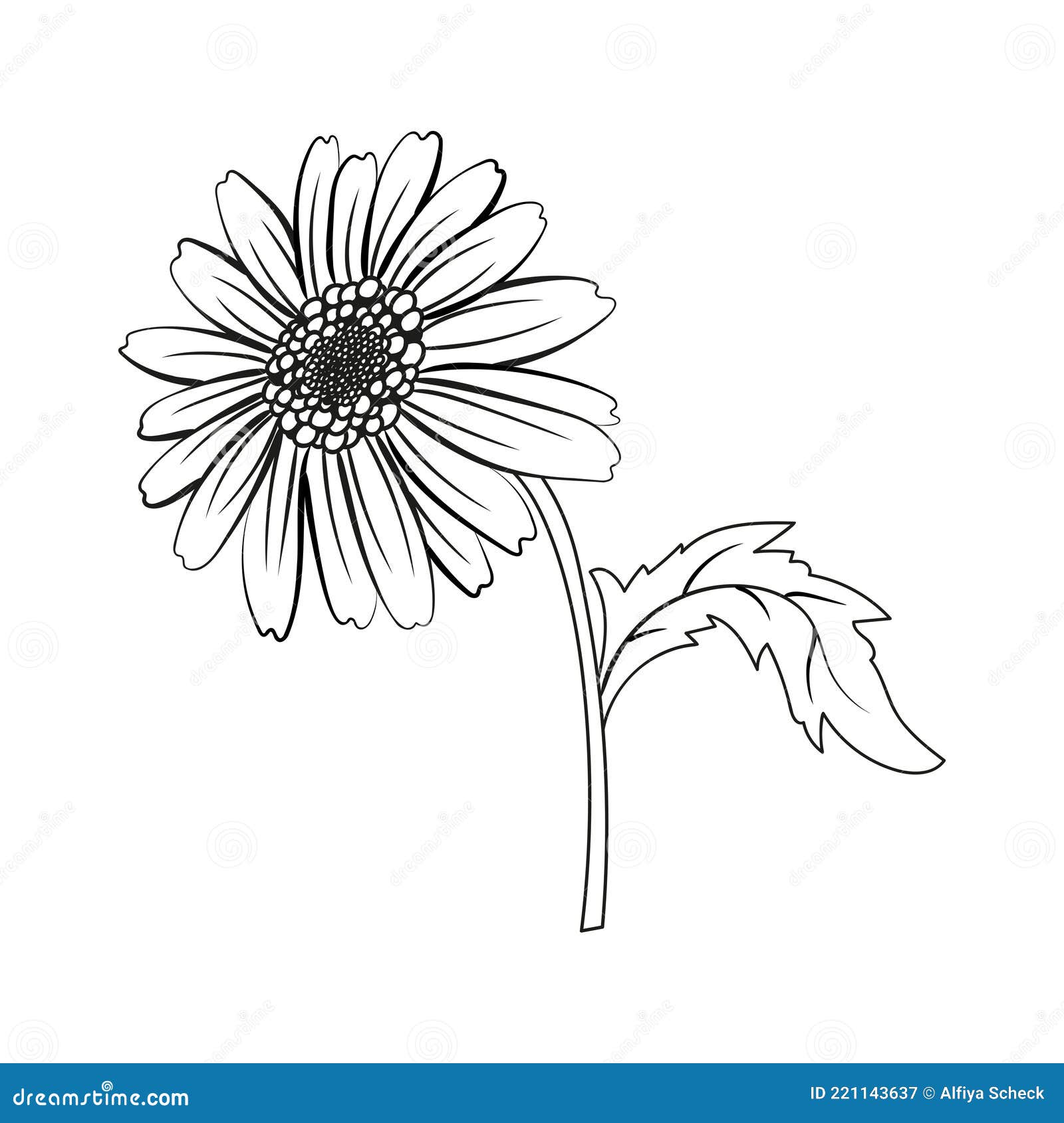 Daisy Flower Line Drawing