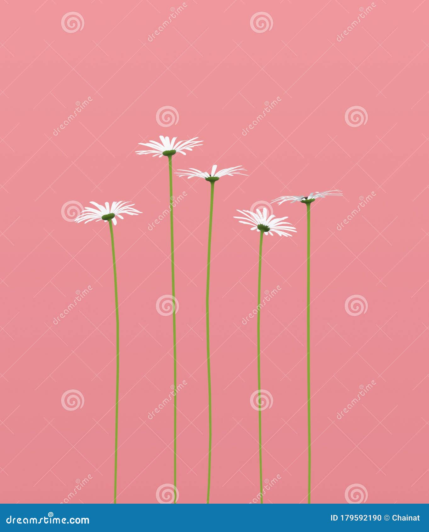 Daisy Flower on Pastel Color Background Stock Illustration ...