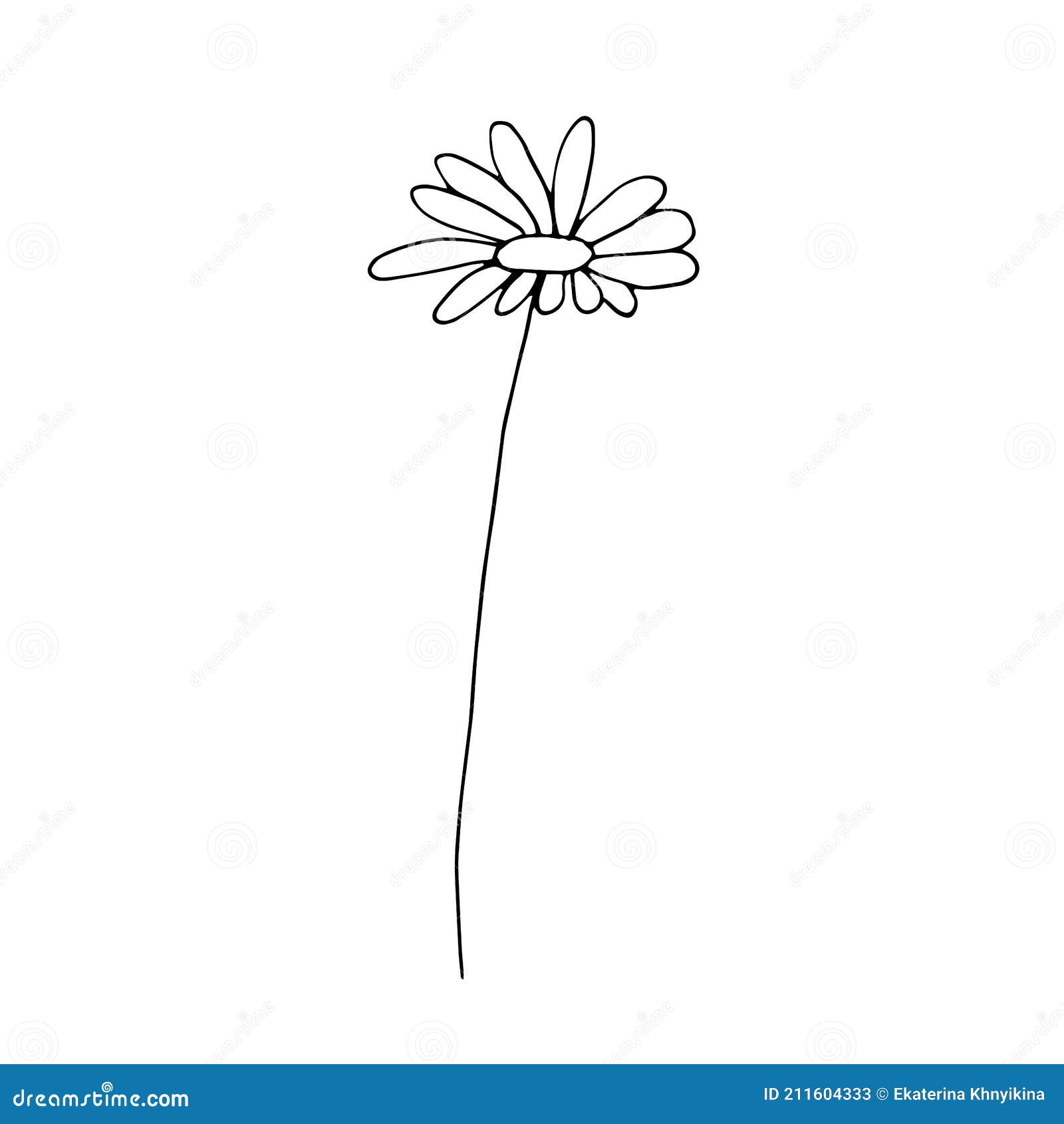 Daisy Flower on a Stem, Vector Doodle Illustration, Hand Drawn Stock ...