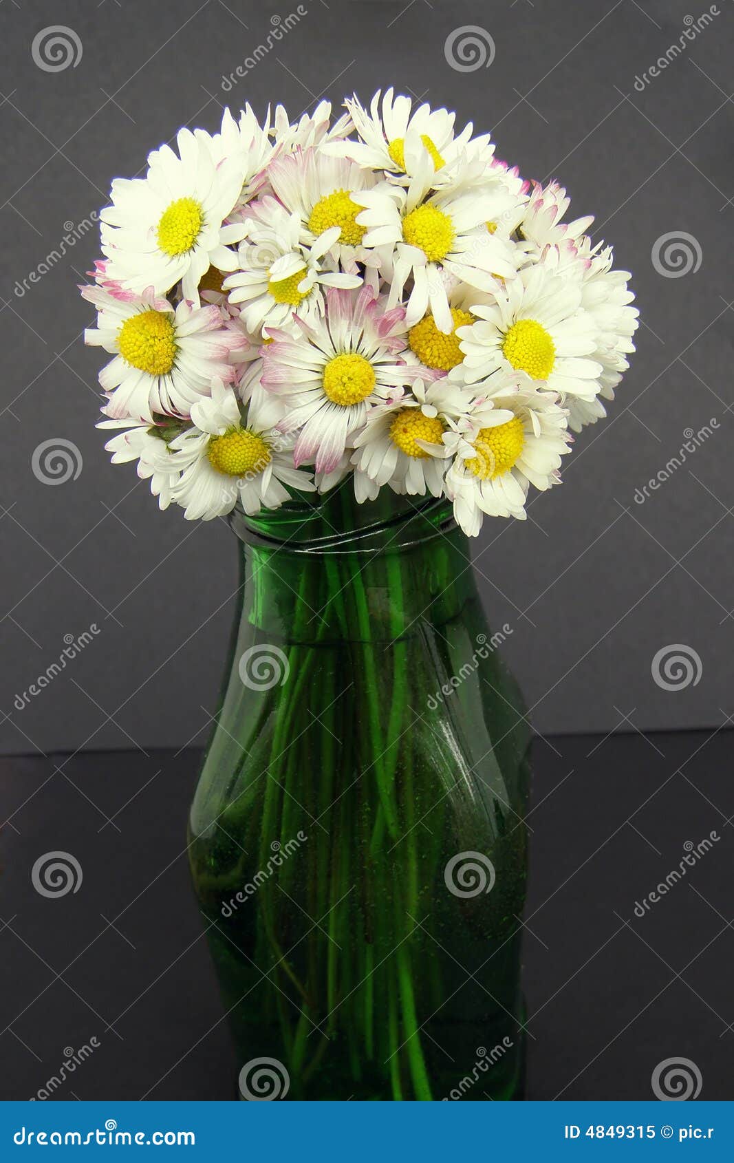 Daisy Flowers Bouquet In A Vase Stock Image - Image of beautiful ...
