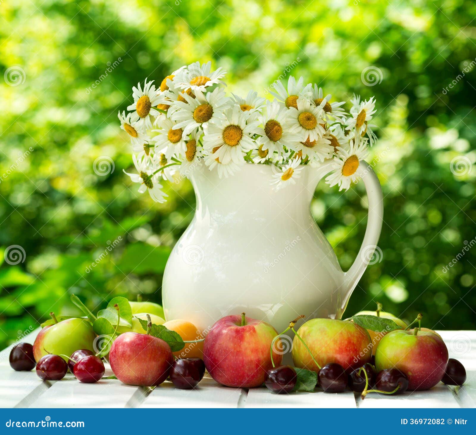 Daisy flowers stock photo. Image of life, blossom, garden - 36972082