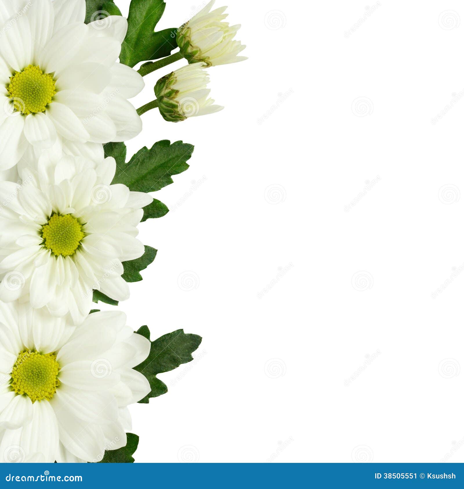 Top Edge Flowers at Ebony Heritage blog