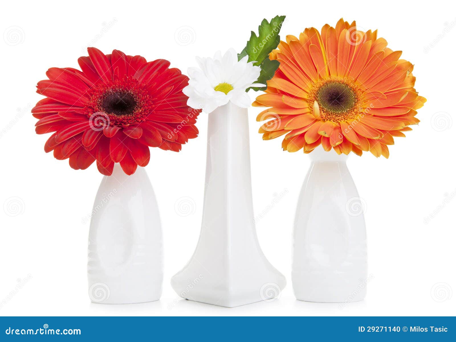 Daisy flowers in vase stock photo. Image of growth, natural - 29271140