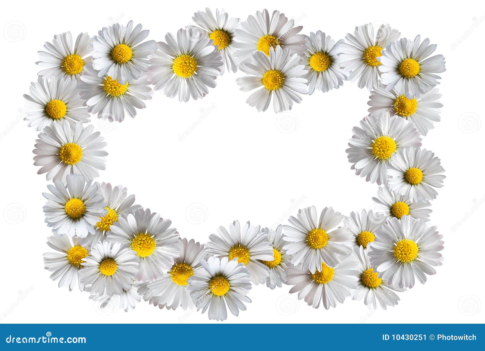Daisy frame stock image. Image of mother, summer, design - 10430251