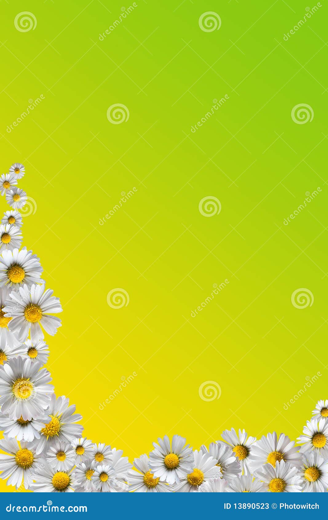 Daisy frame stock image. Image of floral, mother, fresh - 13890523