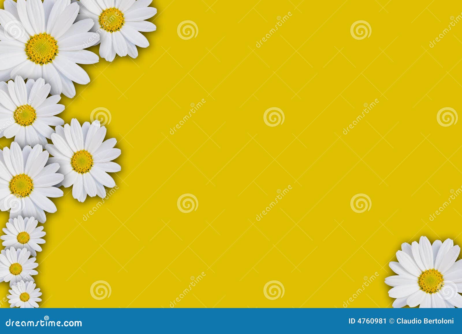 Daisy Frame Stock Illustrations – 19,185 Daisy Frame Stock ...