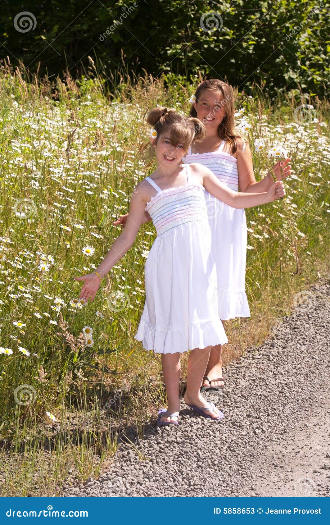 Daisy Girls Picture. Image: 5858653