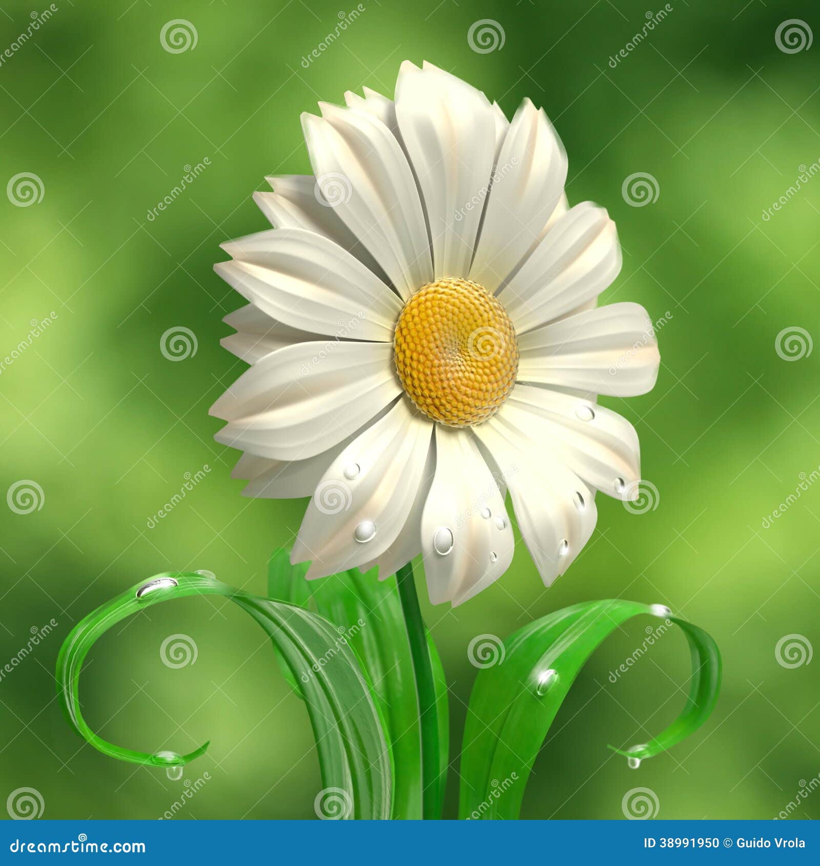 Daisy stock illustration. Illustration of llustration - 38991950