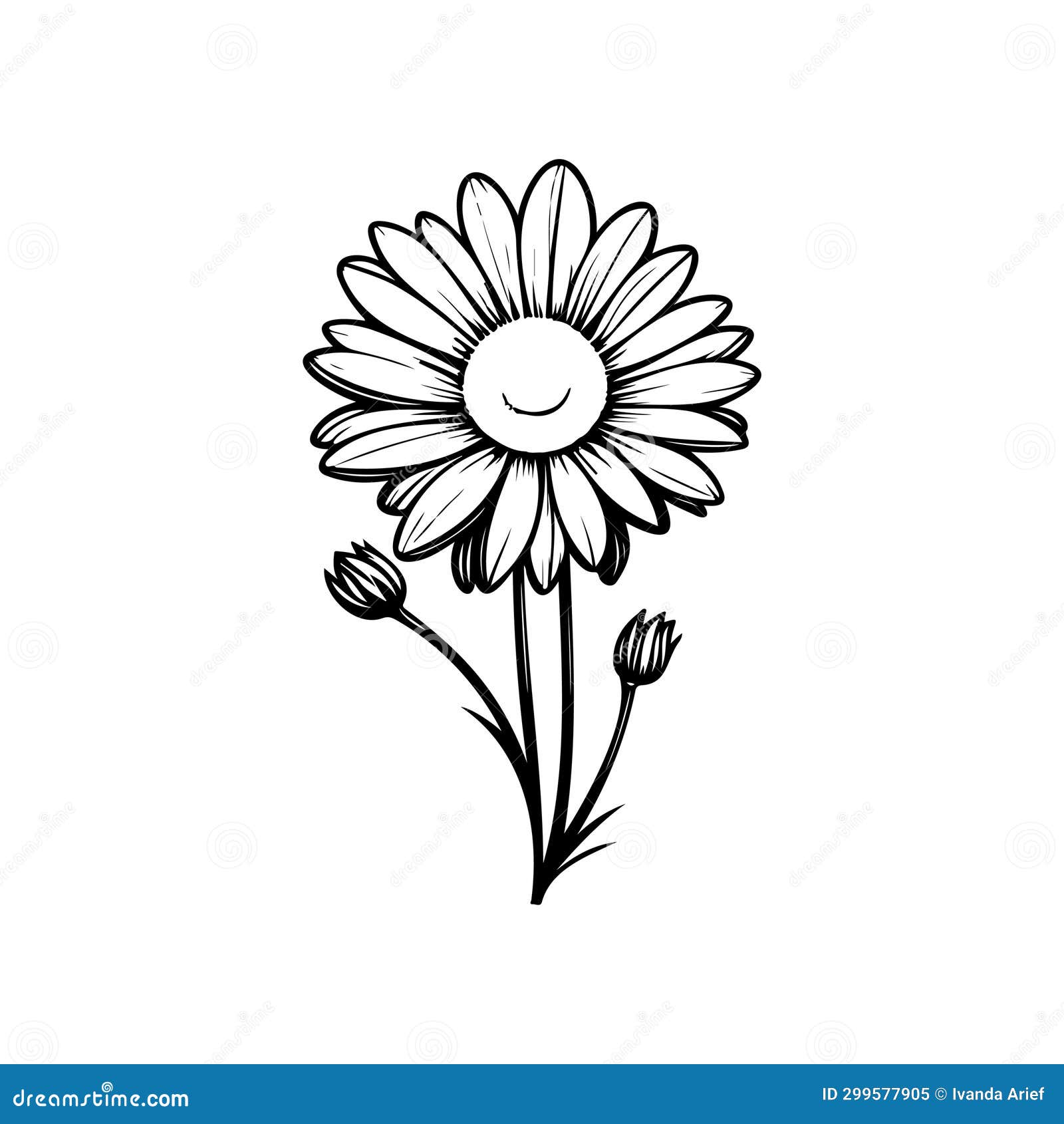 Daisy Icon Hand Draw Black Colour Flowers Logo Symbol Perfect Stock ...