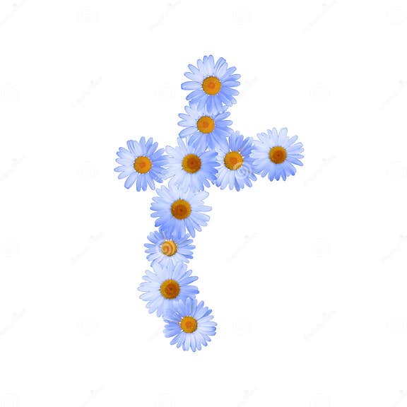 Daisy Letter azul T ilustração stock. Ilustração de multimulticamadas ...