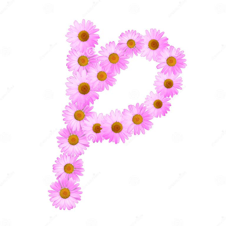 Daisy Letter cor-de-rosa P ilustração stock. Ilustração de ...