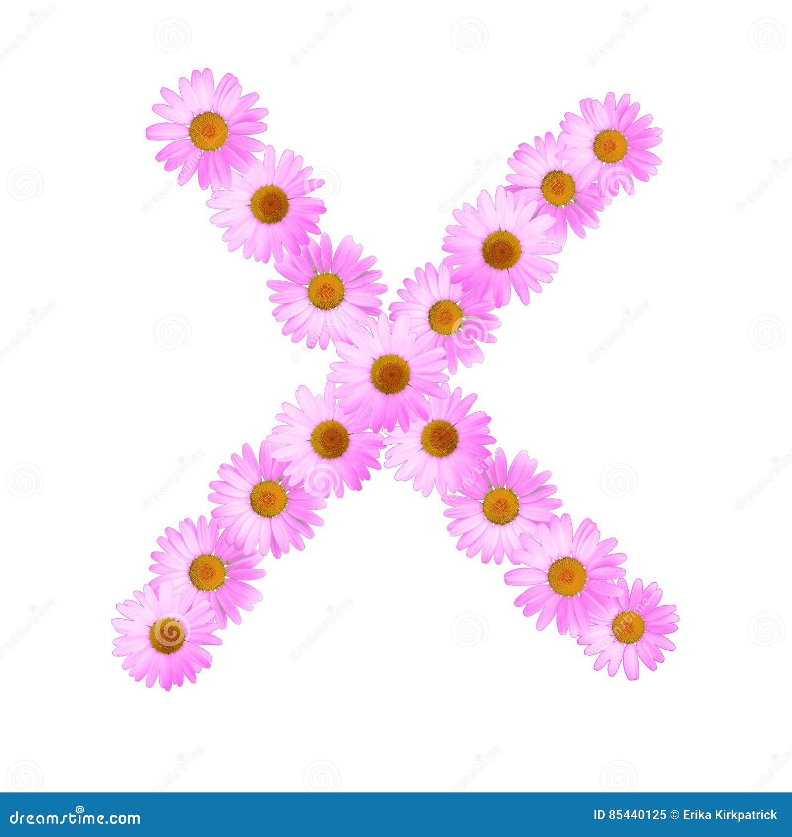 Daisy Letter cor-de-rosa X ilustração stock. Ilustração de margarida ...