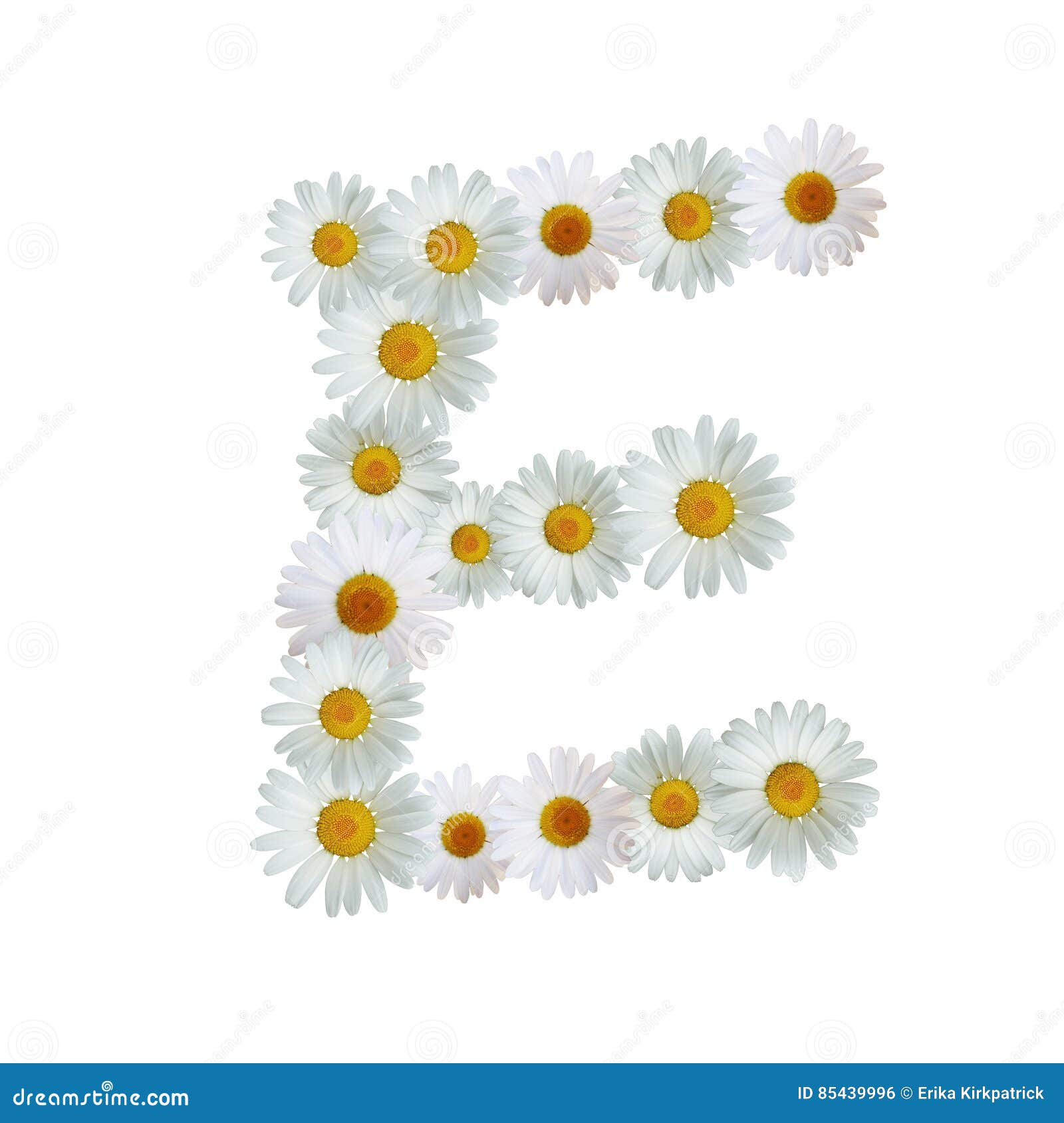 Daisy Letter E stock illustration. Illustration of flora - 85439996