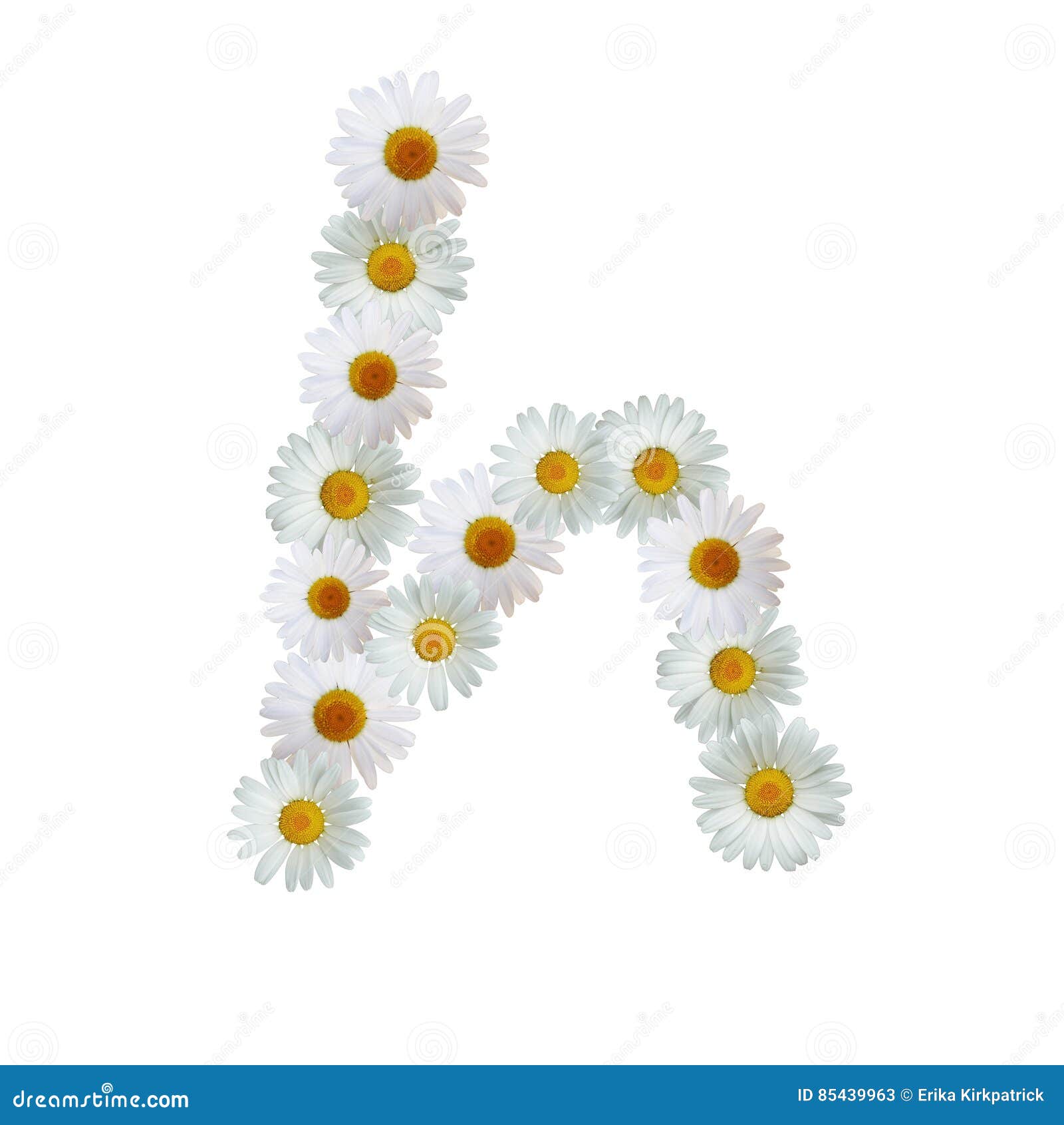Daisy Letter H ilustração stock. Ilustração de texto - 85439963